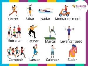 Los deportes vocabulario y expresiones en español