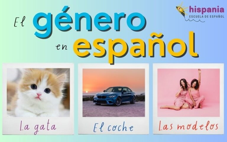 Géneros de palabras: masculino y femenino en español