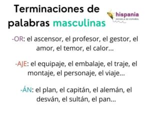 Géneros de palabras: masculino y femenino en español