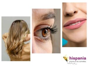 Cómo hacer descripciones físicas en español de forma precisa