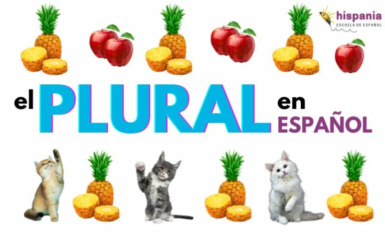 El plural en español. Reglas y ejemplos de como se forma